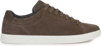 Geox Mens U Avola a Sneaker, Gris Tourterelle, 42 EU