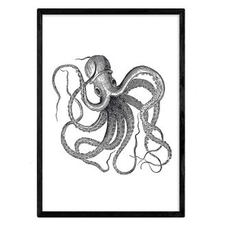 Nacnic Drucke Octopus in mar.Posters mit Tieren in schwarz und wei&szlig;. A4-Format