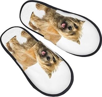 Generic Chaussons Maison Chien Cairn Terrier Mignon Lavables Pantoufles En Coton Doux Slippers Pour DIntérieur Unisex Chambre M
