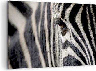 Arttor Wandbilder Dekoration Wohnzimmer Zebra Streifen Tierwelt Safari Bilder auf Leinwand 120x80cm Leinwandbild Schlafzimmer Deko Wand Kunstdruck Art Groß X