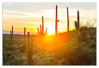Wallario selbstklebendes Poster - Sonnenaufgang in der W&uuml;ste, Aufkleber in Premiumqualit&auml;t, Klebefolie Gr&ouml;&szlig;e: 61 x 91,5 cm (Maxiposter)