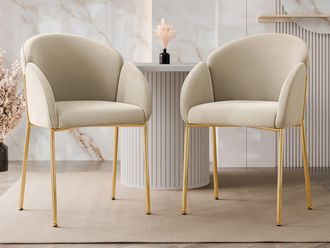 Mirjan24 Polsterstuhl MUZ DC/1257/GL, 2er Set Esszimmerstühle, Beine aus Metall Gold, Gepolsterte Sitzfläche und Lehne, Stuhl für Arbeitszimmer, Esszimmer, Küc