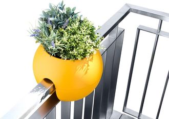 Rephorm ballcony bloomball (mango)