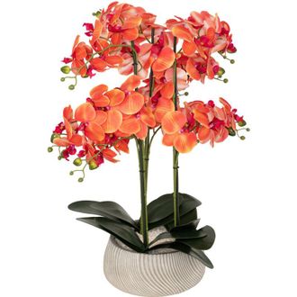 Atmosphera Atmosphera - K&uuml;nstliche Orchidee im Topf Sanae Orangefarbener Zementtopf H65cm cr&eacute;ateur dint&eacute;rieur