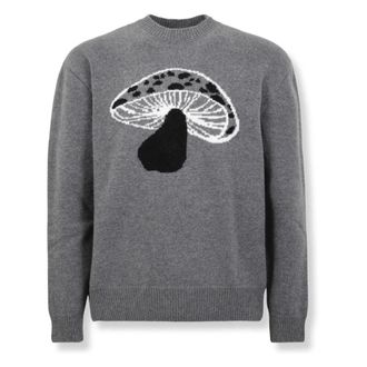 Msgm Msgm, Herren, Strickwaren, Grau, LGr&ouml;&szlig;e