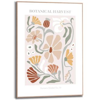 Reinders Gerahmtes Bild, Botanical Harvest, Wohnzimmer, Poster, Wanddeko, Room Decor, MDF, Mehrfarbig, 70 x 50cm