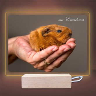 Indigos UG LED Lampe personalisiert - Hamster - quer - personalisierte Lampe - mit Foto & Wunschtext - Geschenk - Acrylglas 14x12 cm - optionale Lampe warmweiss