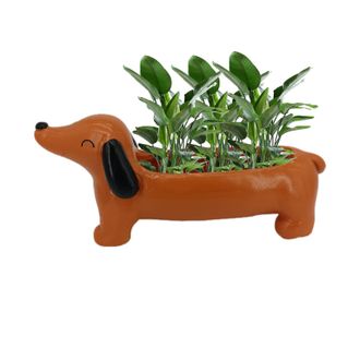 Generic Pflanzgefäß Dackel - Kaktus-Pflanzer dekorativ für Sukkulenten, handgefertigter Blumentopf für den Außenbereich, aus Kunstharz, für Garten, Veranda od