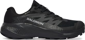 Salomon Laufschuhe Salomon Alphaglide Gtx W L49214400 Dunkelblau