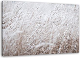 Feeby Wandbild - 1 Teilig - 80x120 cm, Leinwand Bild Leinwandbilder Bilder Wandbilder Kunstdruck, GRAS, NATUR, WEI&szlig;