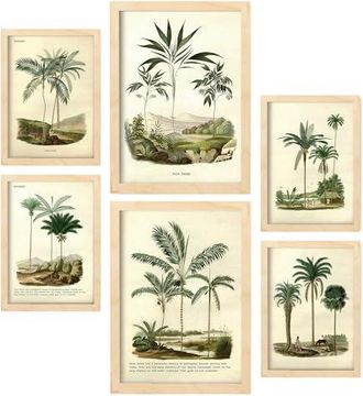 Nacnic Lot de 6 Palmiers Affiches. Dans Imprim&eacute;s vintage. Tableaux d&eacute;coratifs esth&eacute;tiques pour votre salon, chambre, maison Tailles A4 et A3 avec des cadres 