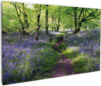 Wallario Leinwandbild Blaues Hasengl&ouml;ckchen im Wald - Wandbild 60 x 90 cm: Kunstdruck | Brillante lichtechte Farben | hochaufl&ouml;send | verzugsfrei