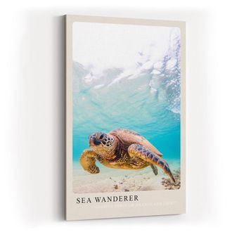 Paul Sinus Art Paul Sinus Kunstdruck 40x60cm Sea Wanderer mit Meeresschildkröte unter Wasser in Türkis