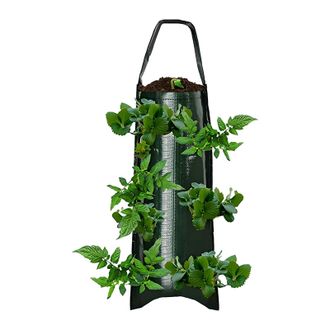 Generico sacchii Erdbeerpflanzen, für den Anbau von Erdbeeren, Fioriera für Erdbeeren, Zubehör für schwere Gartensysteme mit Griff für Balkongeländer im Hof