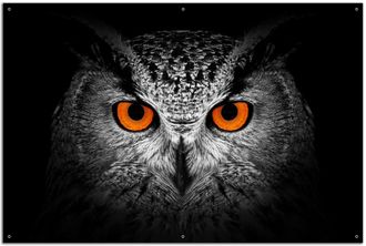 Wallario Outdoor-Poster f&uuml;r Garten oder Balkon Blick aus der Dunkelheit, Motivbanner Gr&ouml;&szlig;e: ca. 60 x 90 cm, Outdoor-Bild