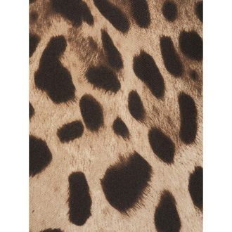 Dolce & Gabbana Gdcf Scarf - Brown
