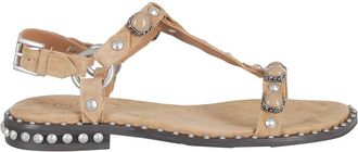 Ash Ash, Femme, Chaussures, Brun, Taille: 39 EU Podium Sandal