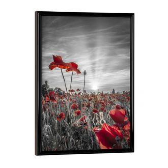 artboxONE Poster mit schwarzem Rahmen 18x13 cm Natur Mohnblumen - ColorKey - Bild mohnblume Blumenfeld blumenwiese