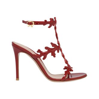 Gianvito Rossi Femme, Chaussures, Rouge, Taille: 37 1/2 EU Ocean Sandal