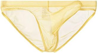 Generic Hommes Slips sous-v&ecirc;tements Maille Transparente Voir &agrave; Travers Les Slips Sexy &eacute;rotique Hommes sous-v&ecirc;tements &eacute;l&eacute;phant Renflement sous-v&ecirc;tements A15