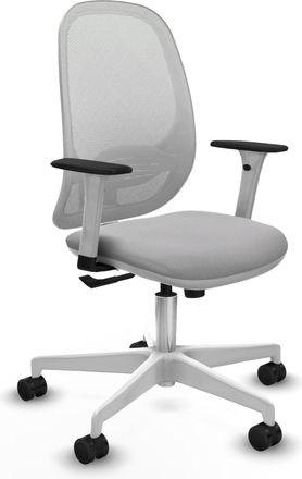 Piqueras y Crespo Schreibtischstuhl, grau und wei&szlig;, zylindrisch, mit 1D-Armlehnen, h&ouml;henverstellbare Lendenwirbelst&uuml;tze, ausgestattet mit 3 Positionen und Schneideschau