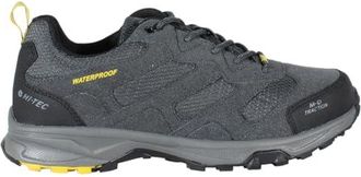 Hi-Tec Hi-Tec Chaussures de randonnée Walker WP respirantes et membrane imperméable Dri-Tec. Style et confort garantis, Gris/doré (Charcoal Cool Grey Golden 