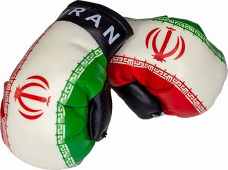 Aim&eacute;e Mini Boxhandschuhe Iran