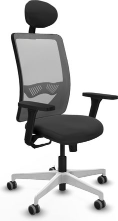 Piqueras y Crespo Zulema Center Center Stuhl mit 3D-Armen, h&ouml;henverstellbarer Lendenwirbelst&uuml;tze und festem Kopfteil, ausgestattet mit 3 Positionen, Grau/Dunkelgrau