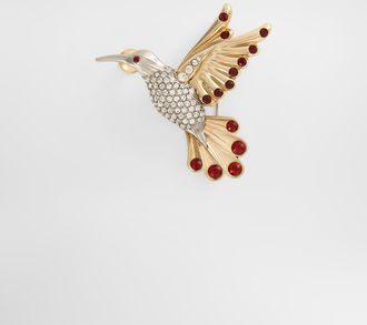 Dolce & Gabbana Kolibri-brosche - Mann Bijoux Mehrfarbig Metall Pz
