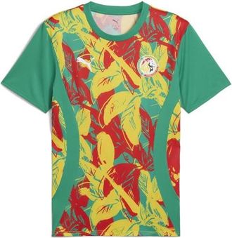 Puma Maillot pr&eacute;-match pour homme S&eacute;n&eacute;gal 2025 Adultes, vert/jaune, XL