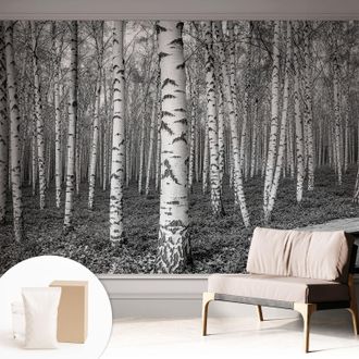 Tulup Carta Da Parati Non Tessuto - Decorazione Da Muro - Traspirante - Con Motivo - Per Camera Da Letto Cucina Foresta Di Betulle 312x219 Cm