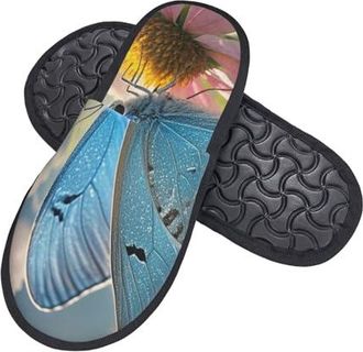 Generic Pantoufles Unisexes Papillon Bleu Chaussons DIntérieur Automne Hiver Doublées En Peluche Chaude Pantoufles, Pour Mariage, Fête, Hommes, L