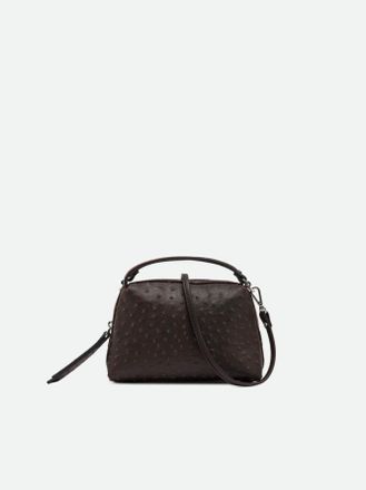 Gianni Chiarini ALIFA