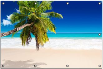 Wallario Outdoor-Poster für Garten oder Balkon Südseestrand in der Karibik mit Palme, Motivbanner Größe: ca. 80 x 120 cm, Outdoor-Bild