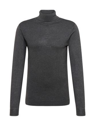 Petrol Industries Pullover Essential