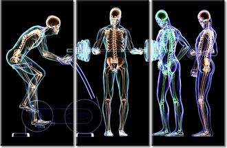 Tumovo Leinwanddruck, Motiv: X Ray Fitness Center, 3-teilig, medizinisches Gesundheitskonzept, zeitgen&ouml;ssischer Kunstdruck, Kunstdruck auf Leinwand, gerahmt,