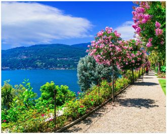 Wallario Poster - Bl&uuml;tenpromenade am Seeufer in Premiumqualit&auml;t, Gr&ouml;&szlig;e: 40 x 50 cm