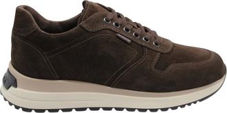 Nero Giardini Homme, Chaussures, Brun, Taille: 43 EU Baskets Greenville