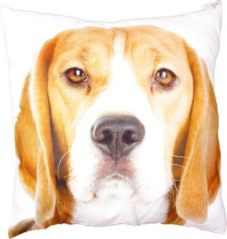 Puckator Kissenhülle mit Fotoprint und Füllung BEAGLE 50x50cm