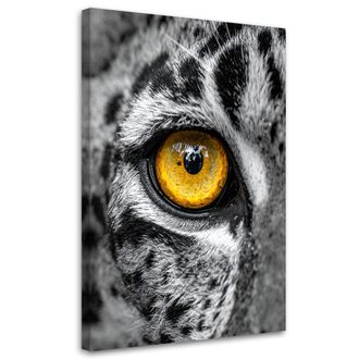 Feeby Stampe Su Tela, Tigre Animali Occhio Bianco E Nero, 80x120
