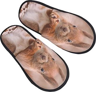 Generic Slippers Petit &Eacute;cureuil Mignon DAutomne Pantoufles En Feutre Lavables Pantoufles En Coton Portative Chaussons Maison Pour La Maison Chambre DInt&eacute;rieur