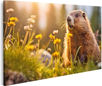 Islandburner Bild auf Leinwand Capture Essenz Natur S Schönheit Atemberaubende Porträt Murmeltier Gegen Bergkul Bilder Wandbilder Poster