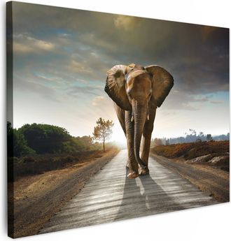 MuchoWow © Wandbilder 70x50 cm Schlafzimmer Home Deko Wohnung Bild Tier Wohnzimmer Fotoleinwand Wand Bilder Tierbilder auf Leinwand Wall Decor Wanddeko Waldtie