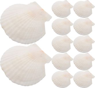 NUOBESTY 21 St&uuml;ck Nat&uuml;rliche Wei&szlig;e Jakobsmuscheln 6 8cm f&uuml;r Selbstgemacht Bastelarbeiten und Aquariendeko Wiederverwendbare Muschelornamente f&uuml;r Strandflair un
