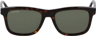 Lacoste Homme, Accessoires, Brun, Taille: ONE Size Lunettes de soleil