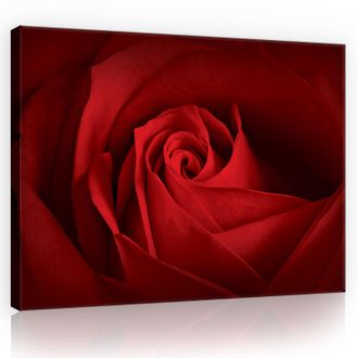 ForWall Leinwand Bilder - Blumen Rosa Rosen Rot - 100x75 cm Leinwandbilder - Bild auf leinwand - Wandbild XXL groß Wandbilder für Wohnzimmer Schlafzimmer Wohn