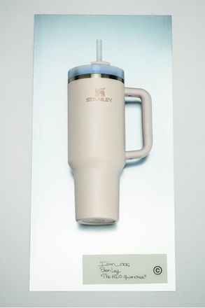 Stanley Gourde - Taille TU