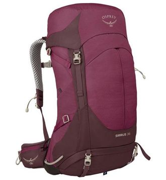 Osprey Sirrus 36 - Wanderrucksack - Damen
