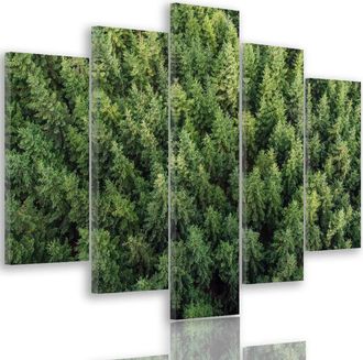 Feeby Bild auf Leinwand Landschaft 5 Teilig Modern Wald B&auml;ume Fichten gr&uuml;n 150x100 cm