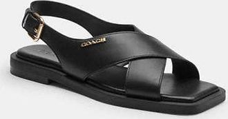 Coach Link Criss Cross Sandale